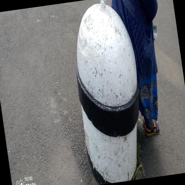 od Object Detection Dataset by addis ababa university