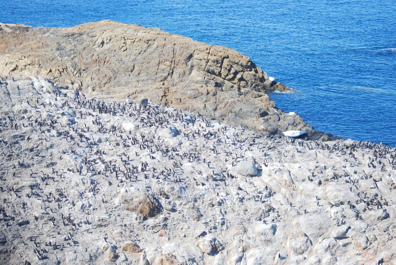 Bipul (bipul-cdu69) - Roboflow Universe