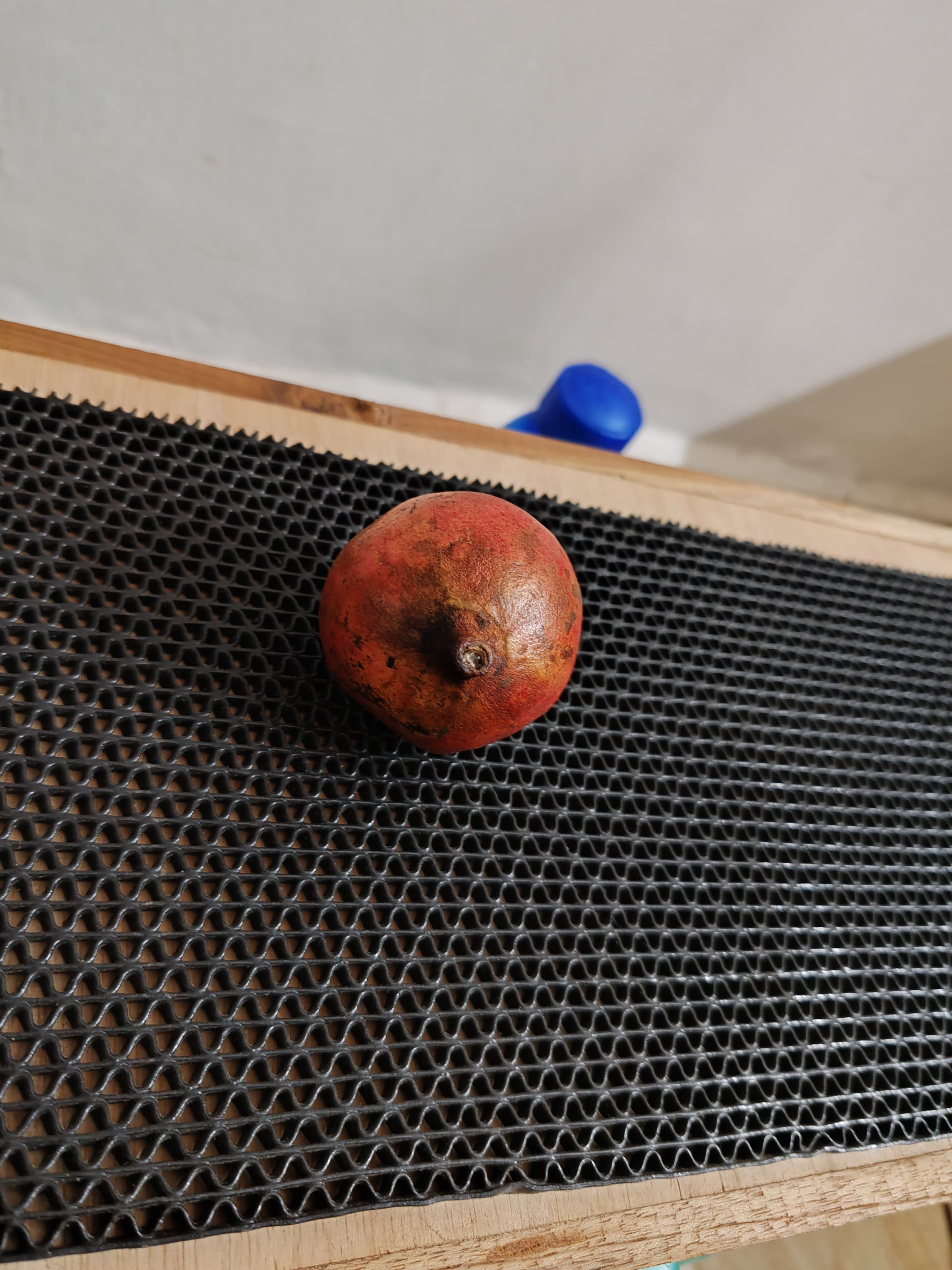 shelf Object Detection Dataset by Solomon
