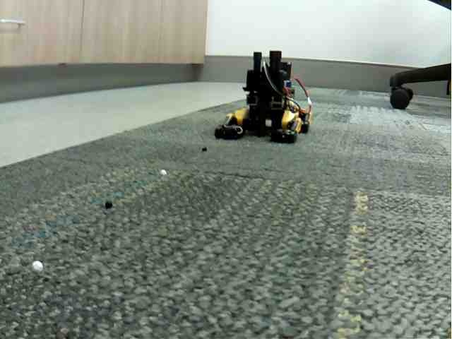 Detect Bittle Object Detection Dataset By Rick Jay