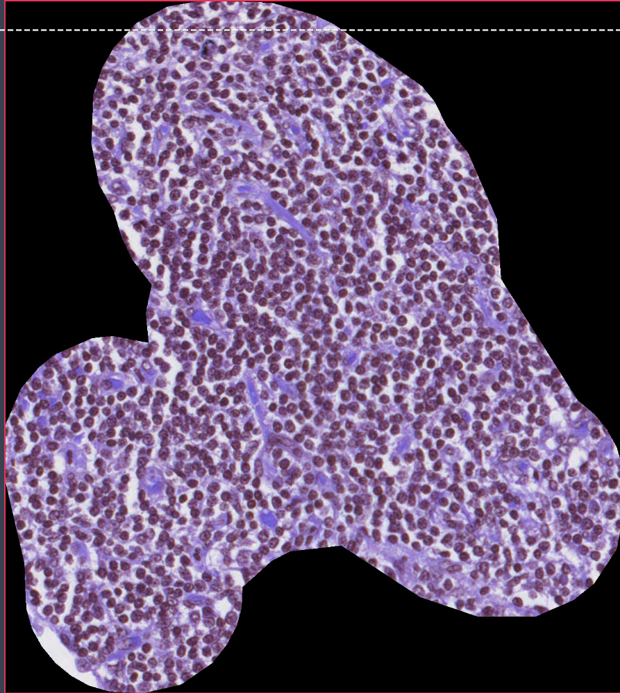 Myown (myown-lswnz) - Roboflow Universe