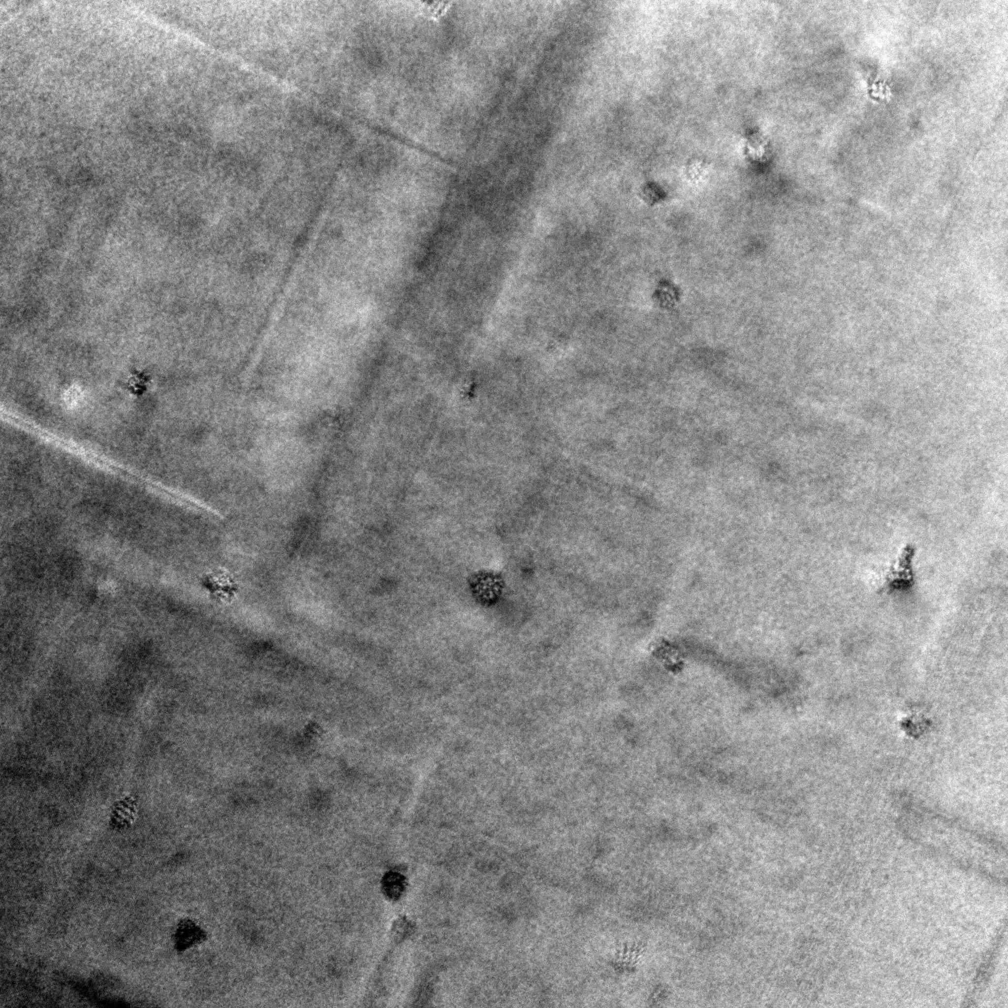 Precipitate Segmentation Test Instance Segmentation Dataset By Masterproject