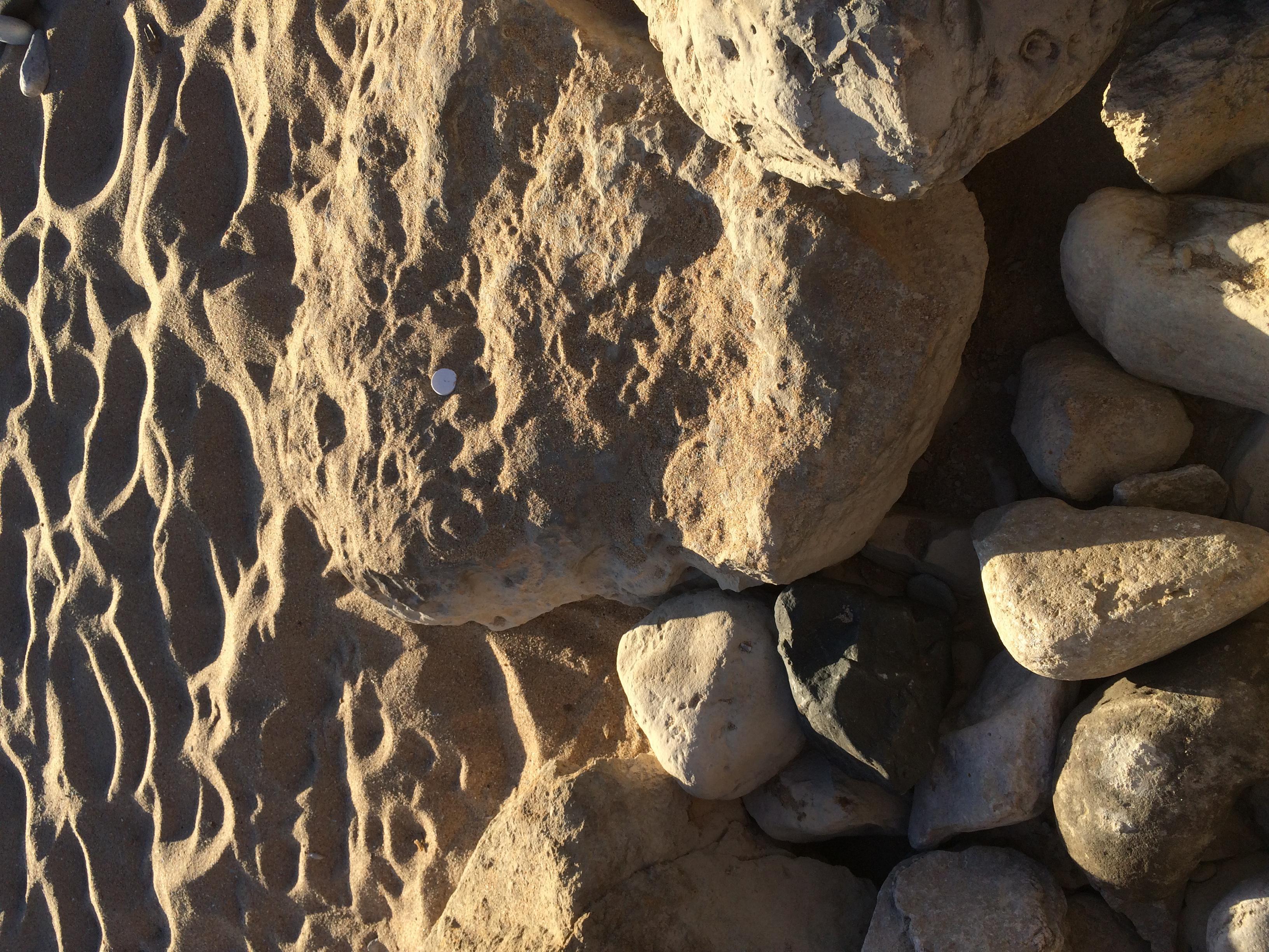 Taco Bbox Object Detection Dataset by Tervezes Horvath Andras