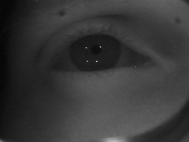 Pupil & Iris Semantic Segmentation Dataset by SinTsun