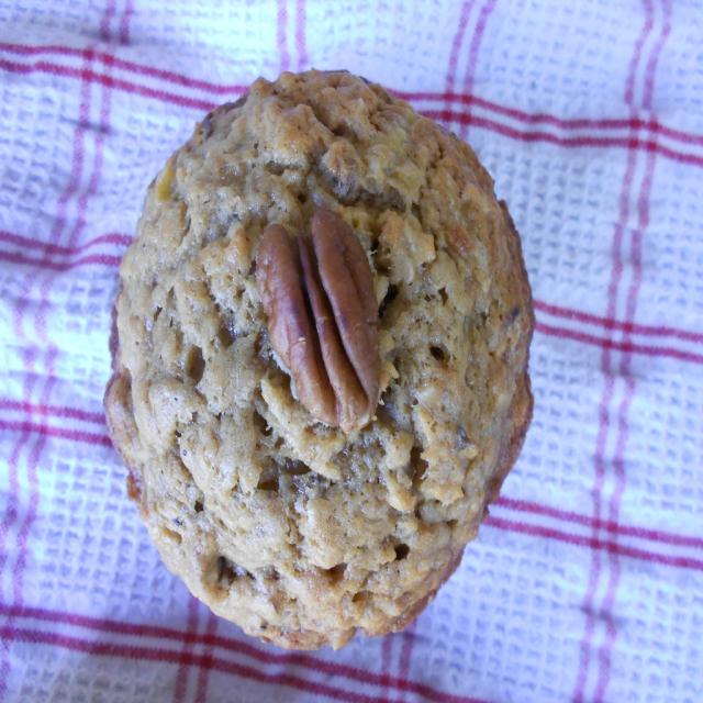 cockies Object Detection Dataset and Pre-Trained Model by oreo