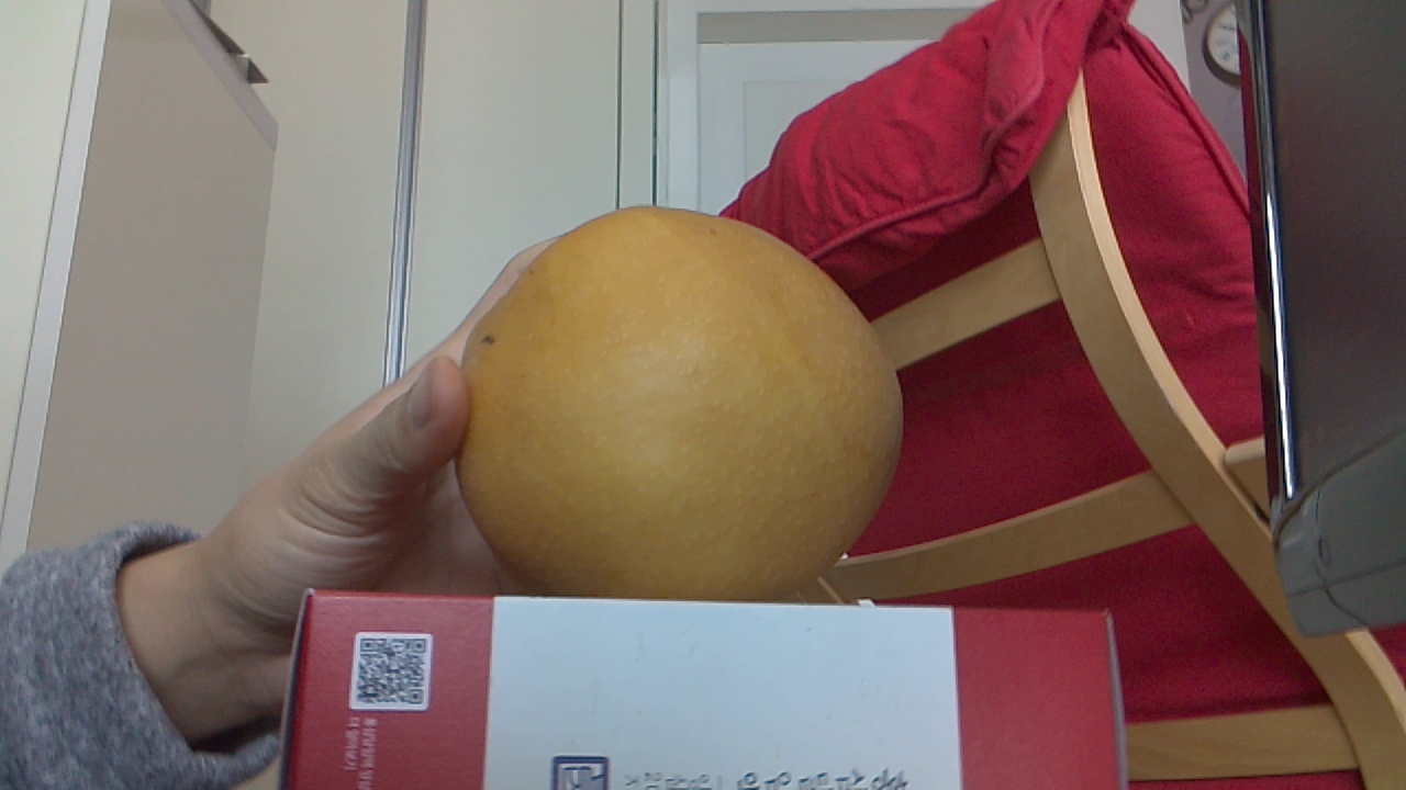 fruit_detection Object Detection Dataset (v1, 2024-11-25 10:44pm) by morai