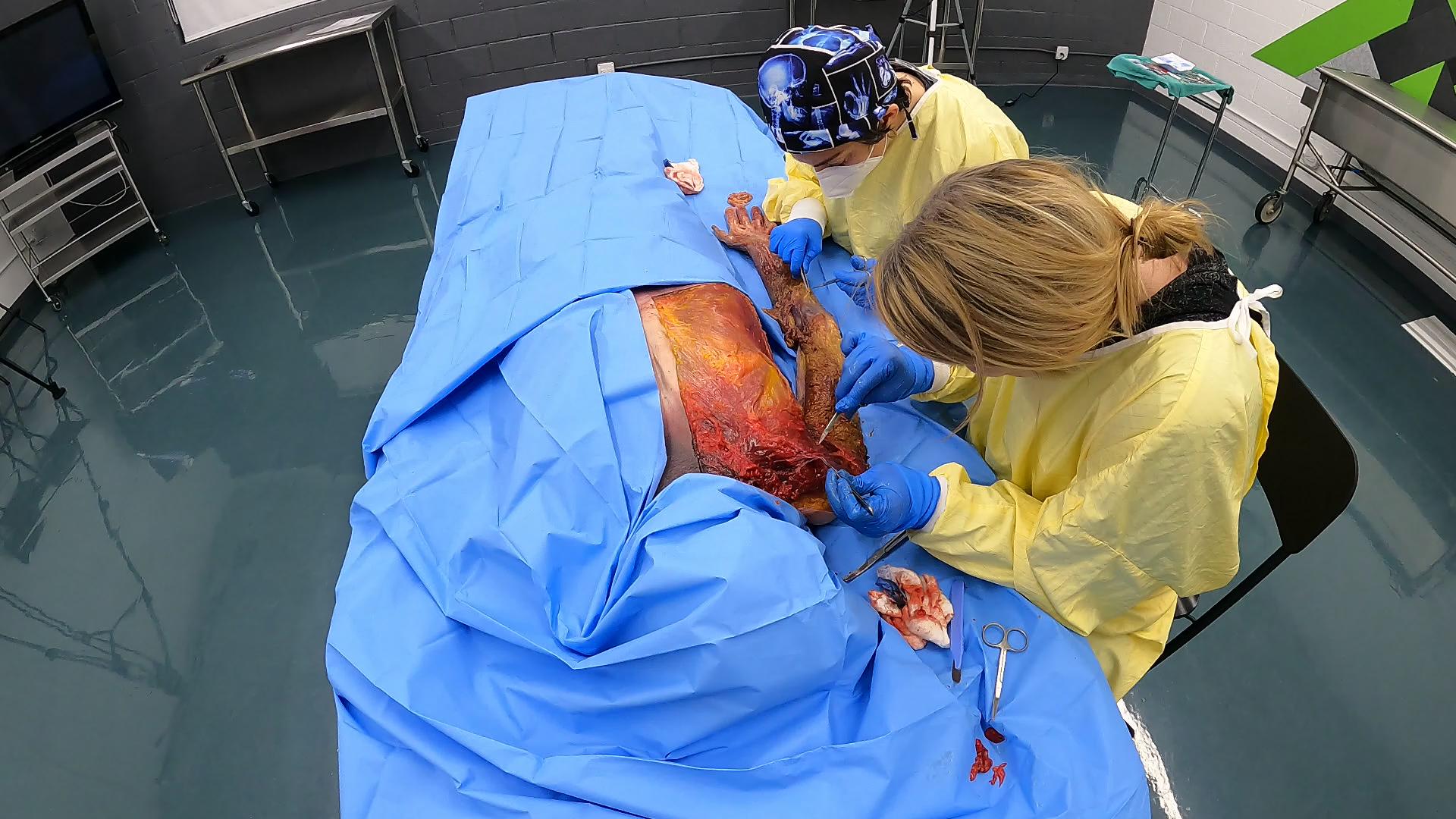 Object Detection Object Detection Model By Projects