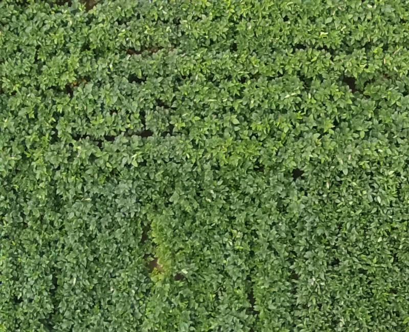 lo Object Detection Model by jbnu