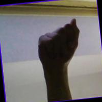 handpose Object Detection Dataset by wharuka