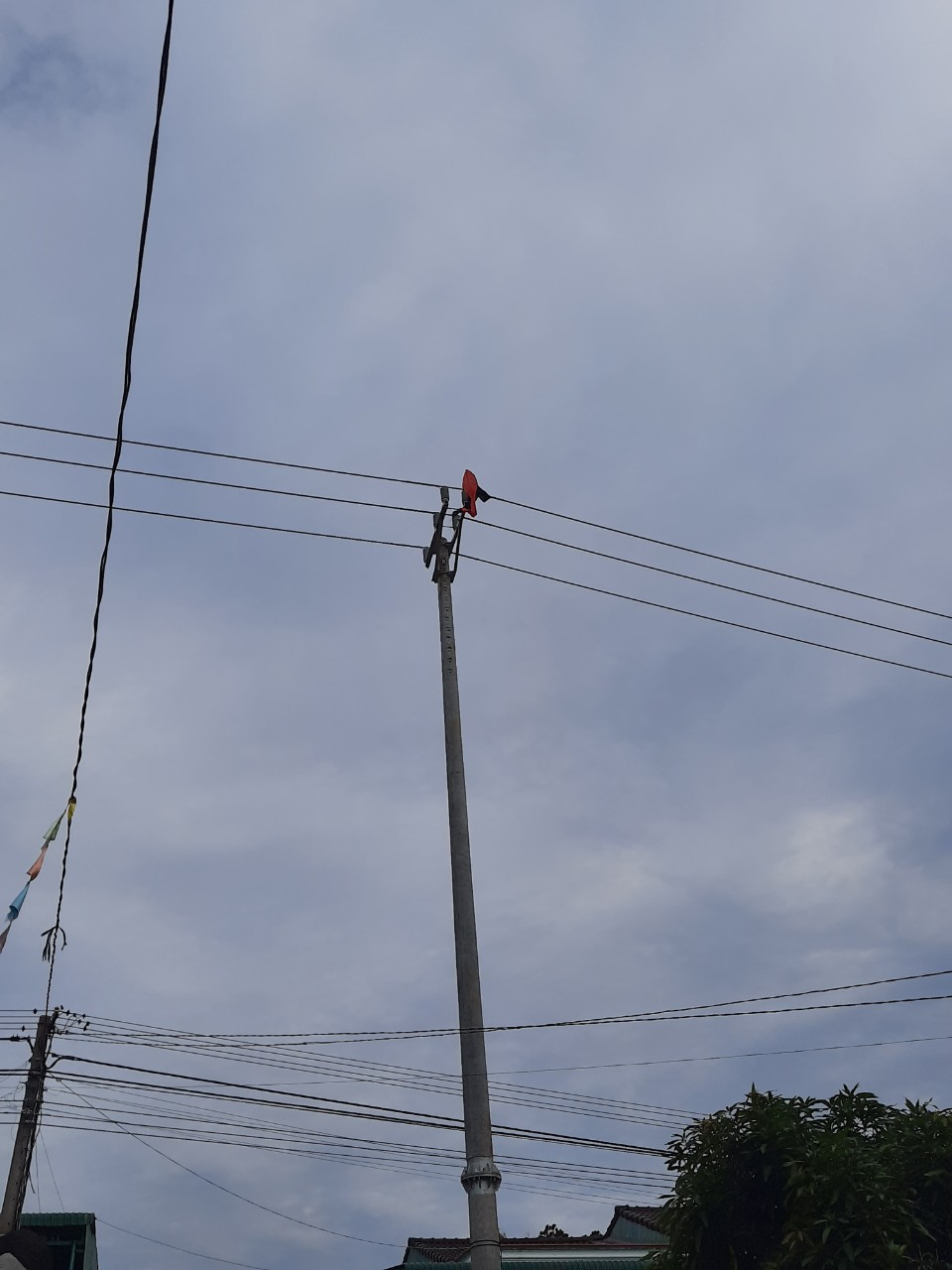 ddan_tt_vatla Object Detection Dataset by Dak Doa