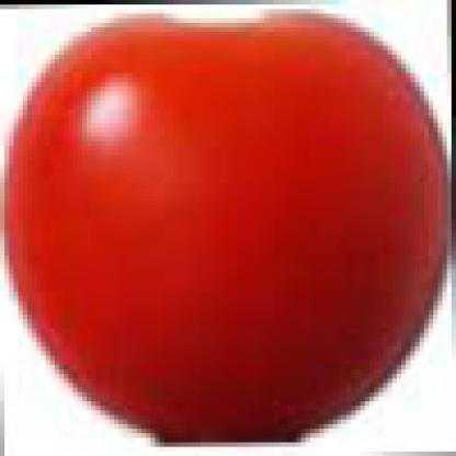 Ripe_Tomato_Detection Object Detection Dataset and Pre-Trained Model by C Hari Prasanth