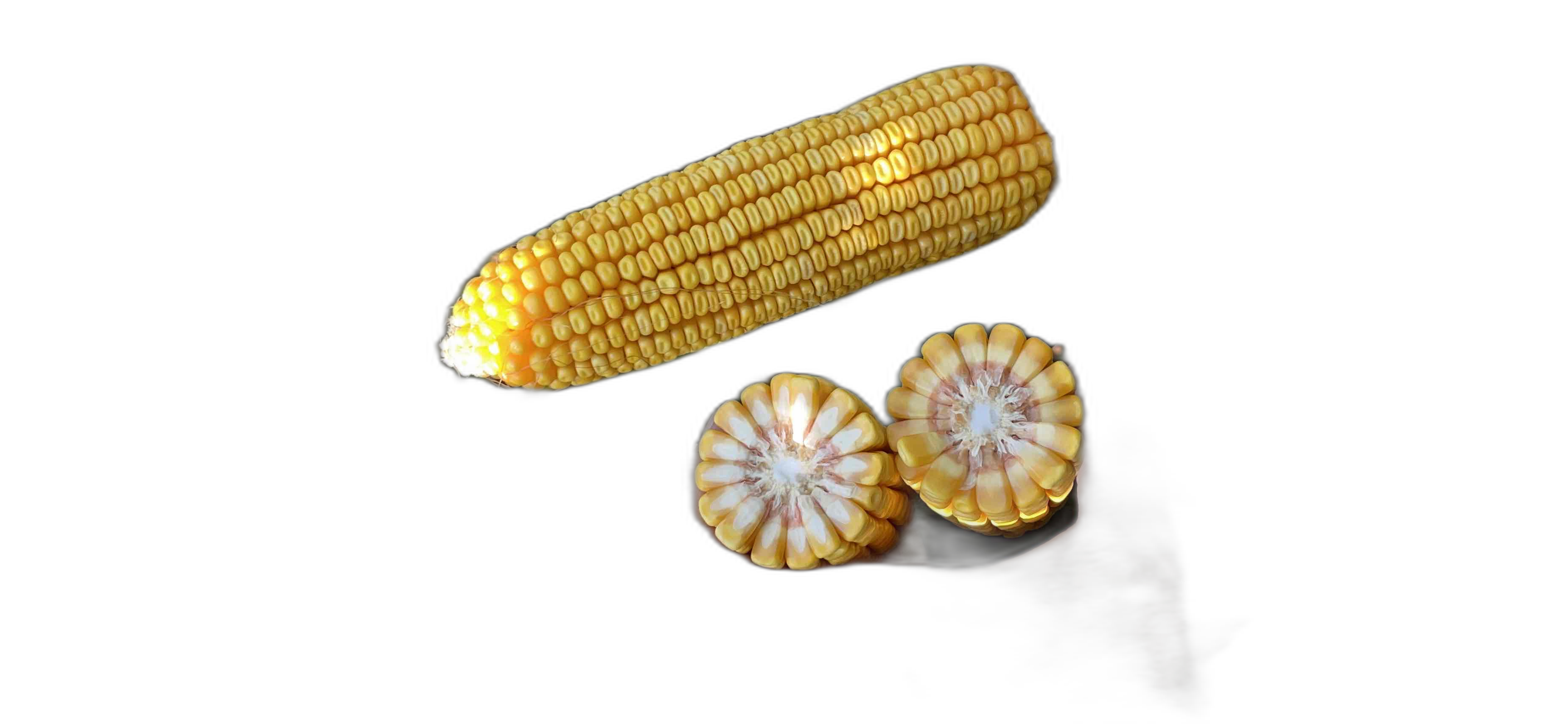 kernelcount - Roboflow Universe