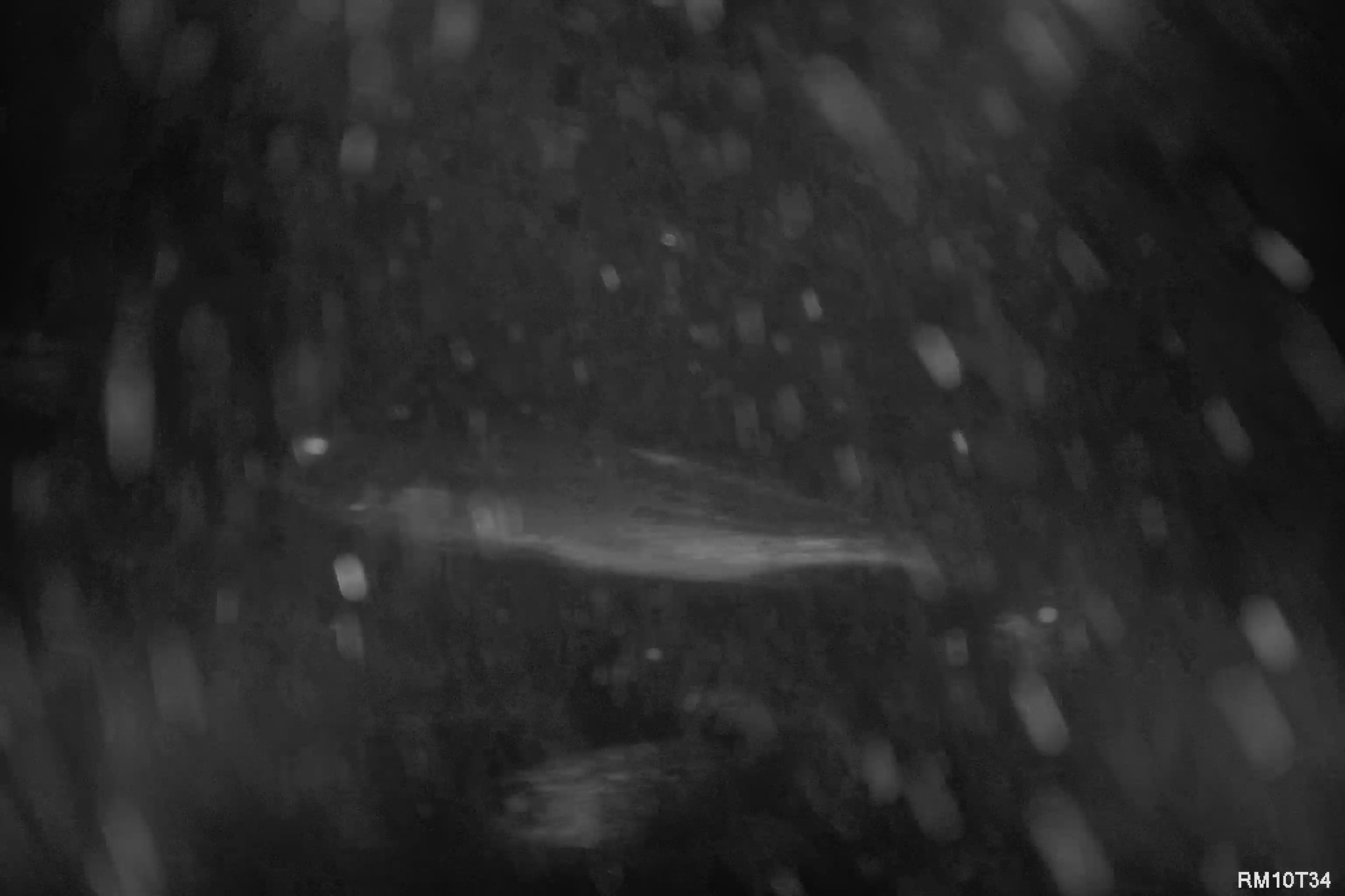 Segment (segment-4dr6v) - Roboflow Universe