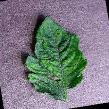 My First Project Object Detection Dataset by hehe