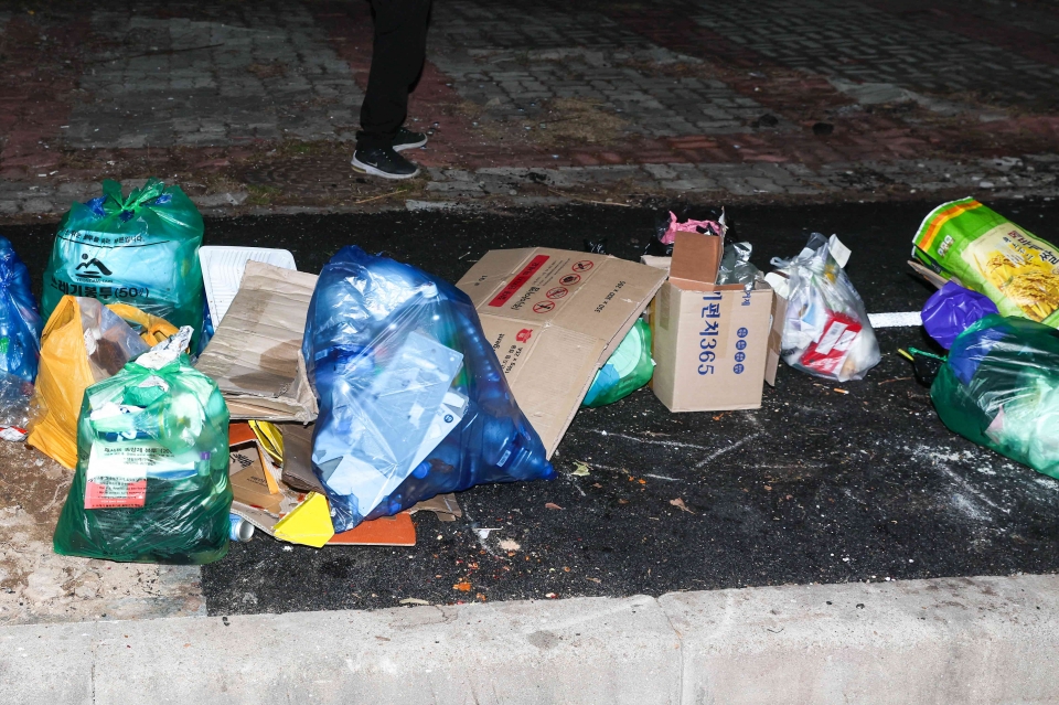 trash finder Object Detection Dataset and Pre-Trained Model by iasa