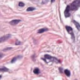 pannuke_coco Instance Segmentation Dataset by panNukecoco