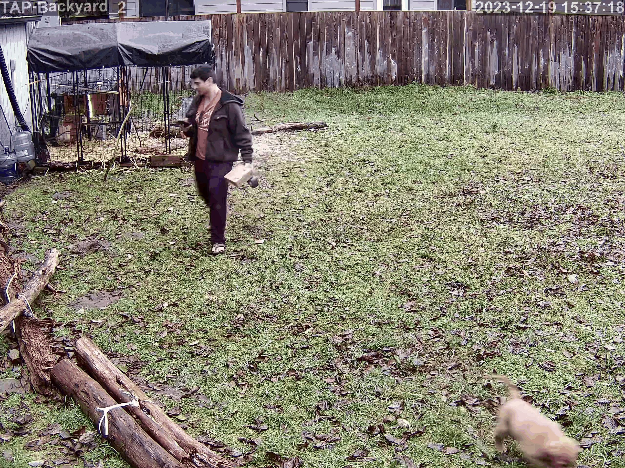 Common_Objects Object Detection Dataset by Personal