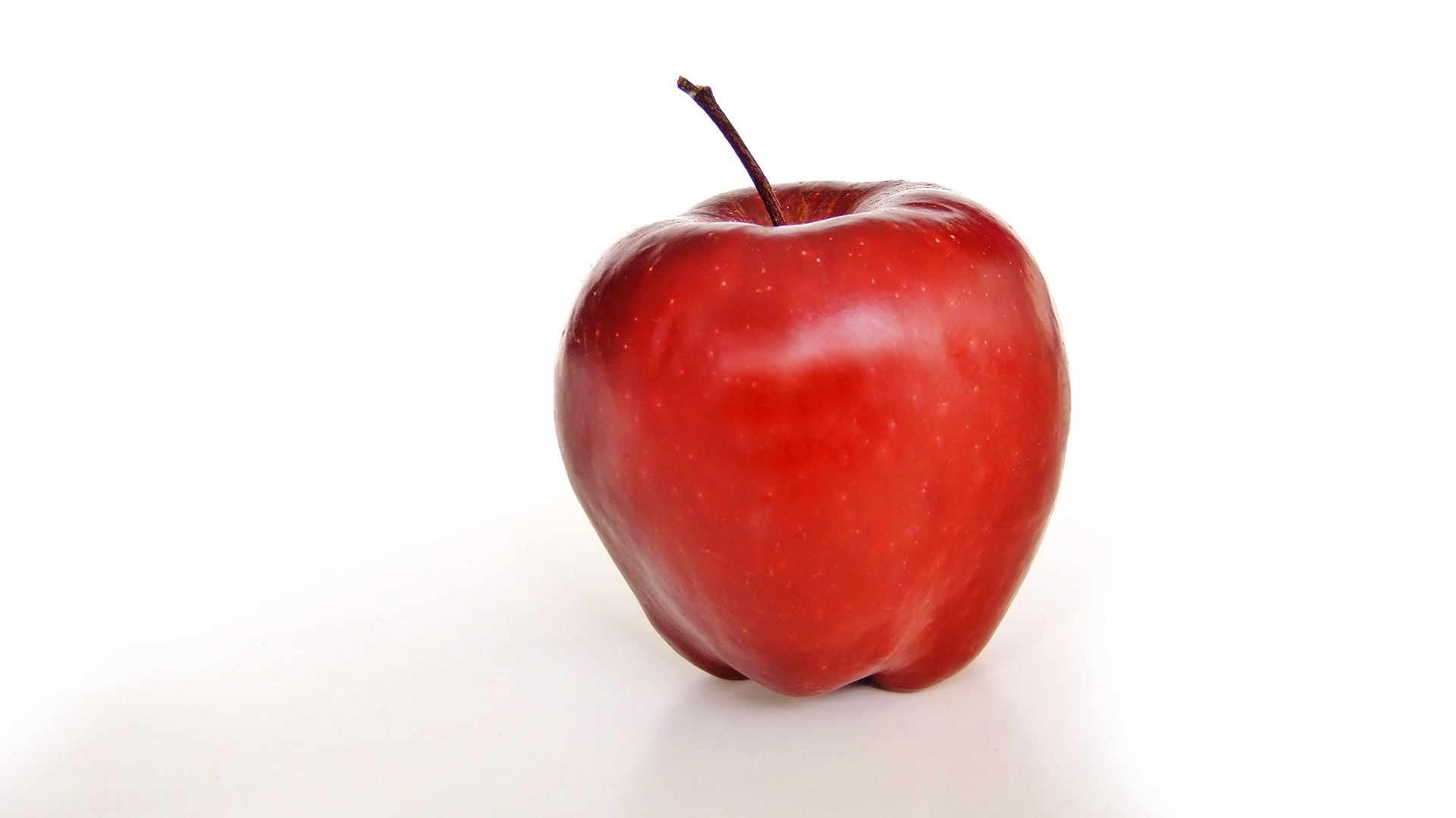 Apple Object Detection Model by Wageningen