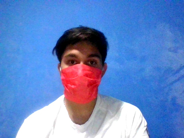 Mask or no mask Object Detection Dataset by new-workspace-2cnfr