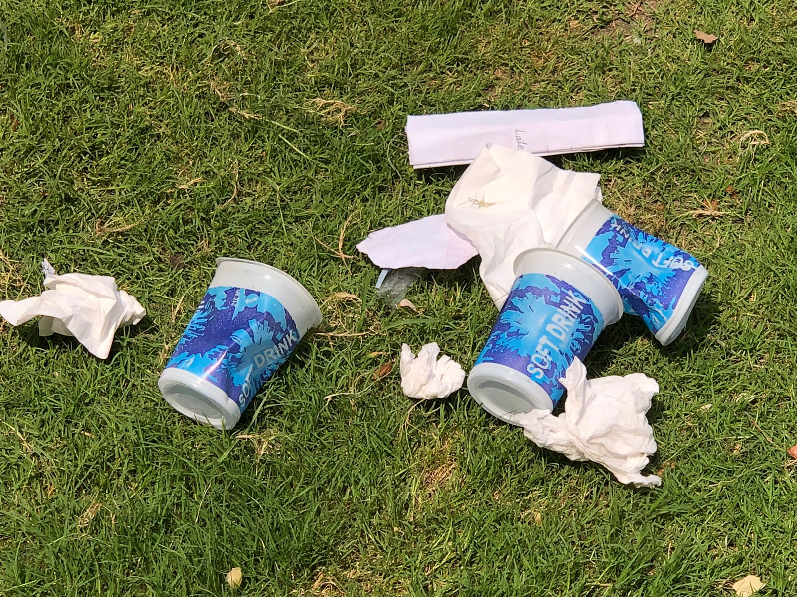 garbage_best Object Detection Dataset and Pre-Trained Model by yabets