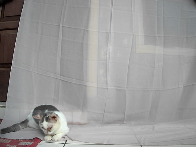 capstone-smart-feeder-V1 Object Detection Dataset by smartfeeder