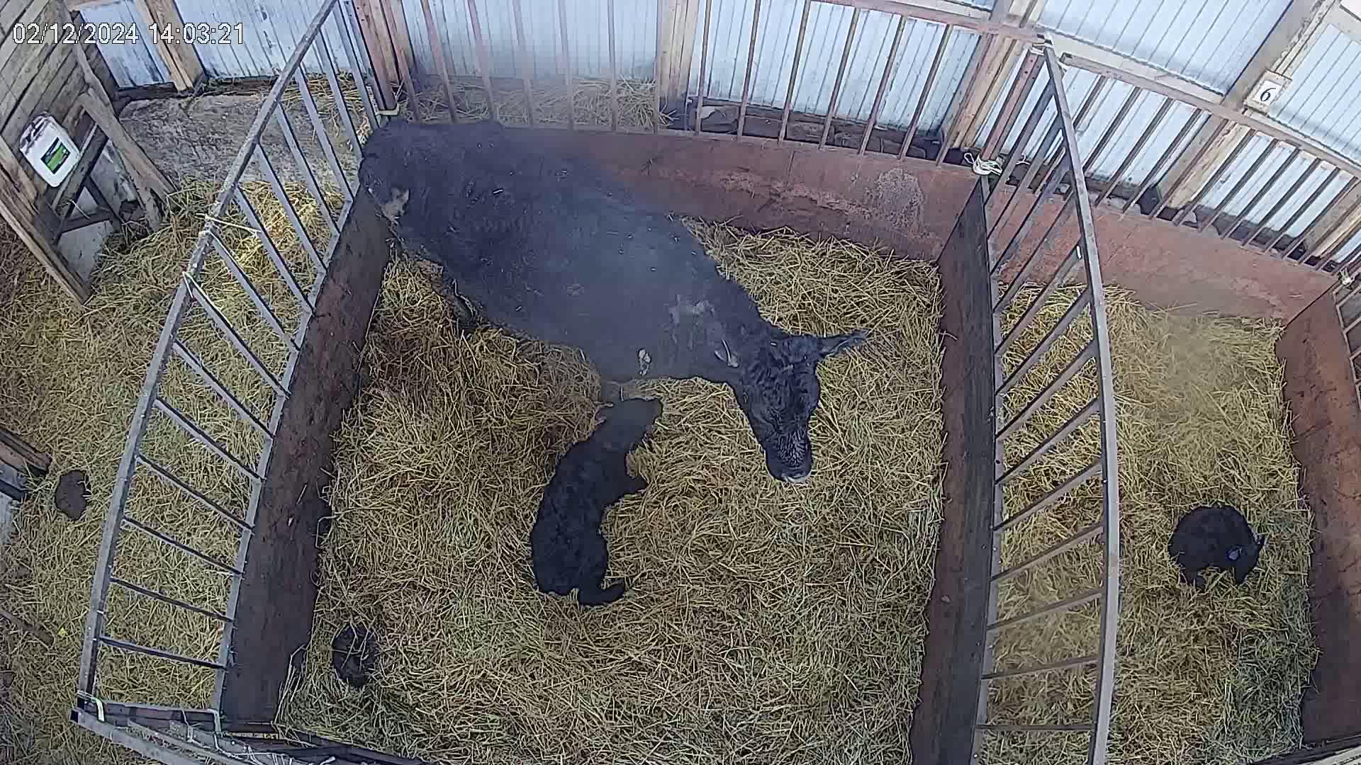 (project-axb6u) - Roboflow Universe