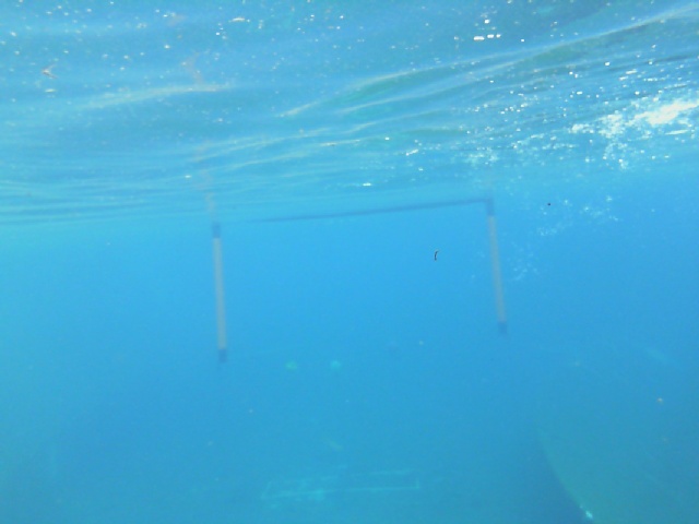 Auv Gate Detection Object Detection Dataset By Auv
