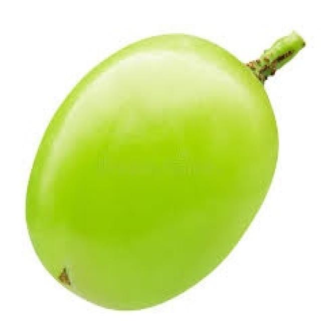 grape Object Detection Dataset by KhuyenNguyen