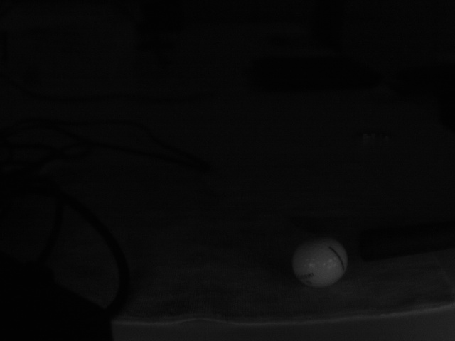 Golf ball LOW Object Detection Dataset by Tossaporn Kongsujarit