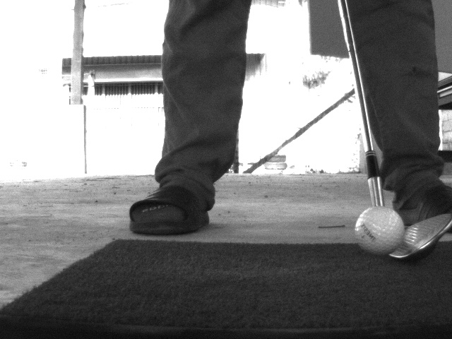 Golf-ball V2 Object Detection Model by Tossaporn Kongsujarit
