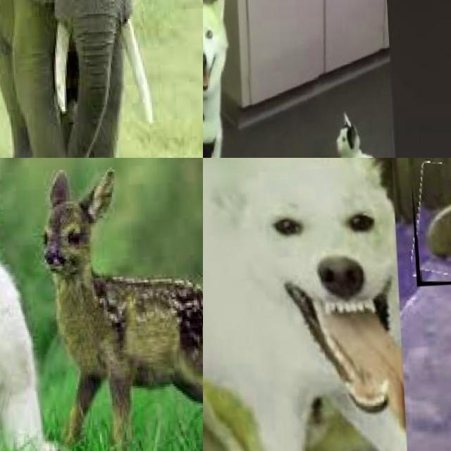 Animal_Detection Object Detection Dataset by MayurWorkspace