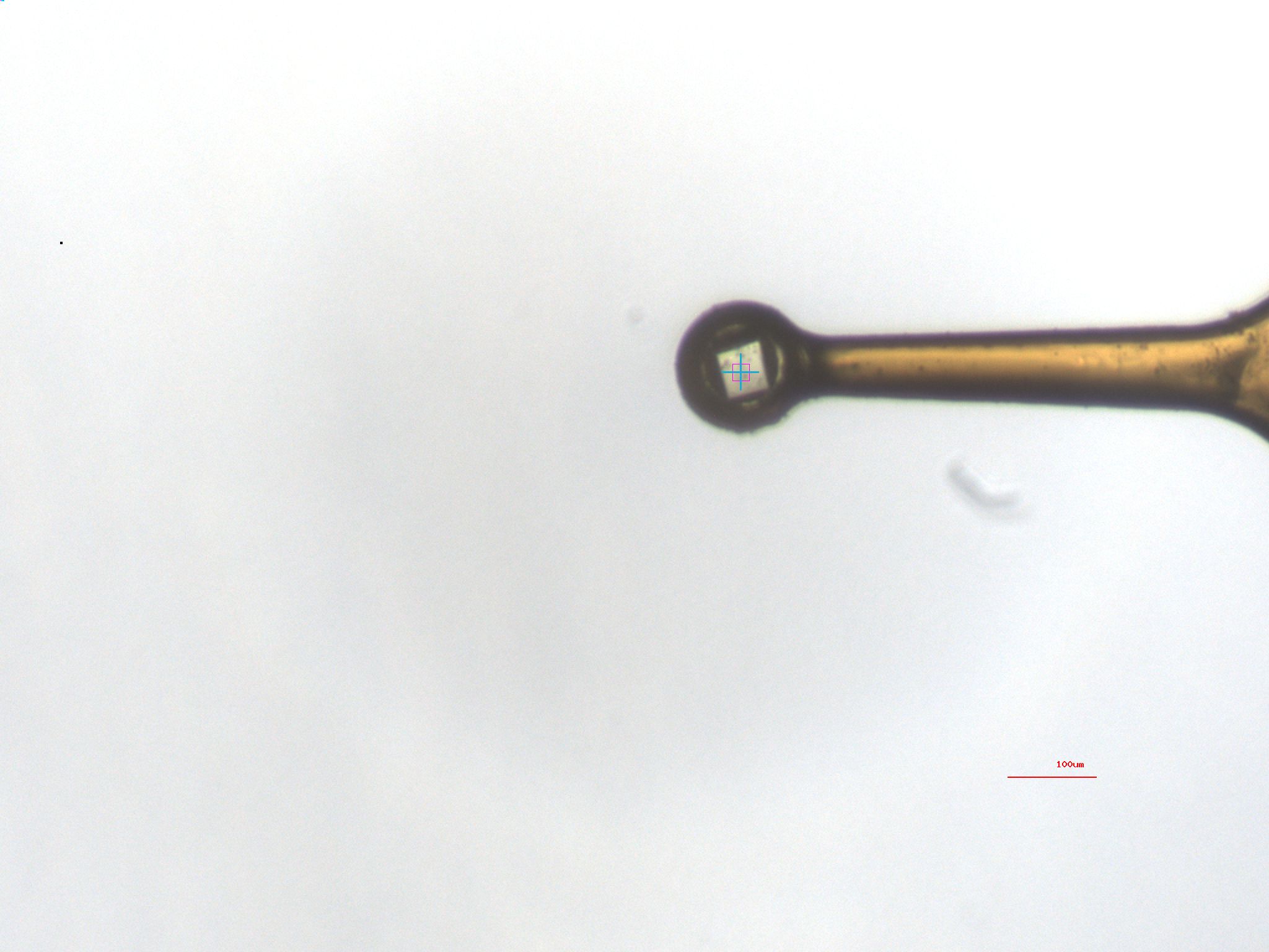 crystal-loop Object Detection Model by xtal