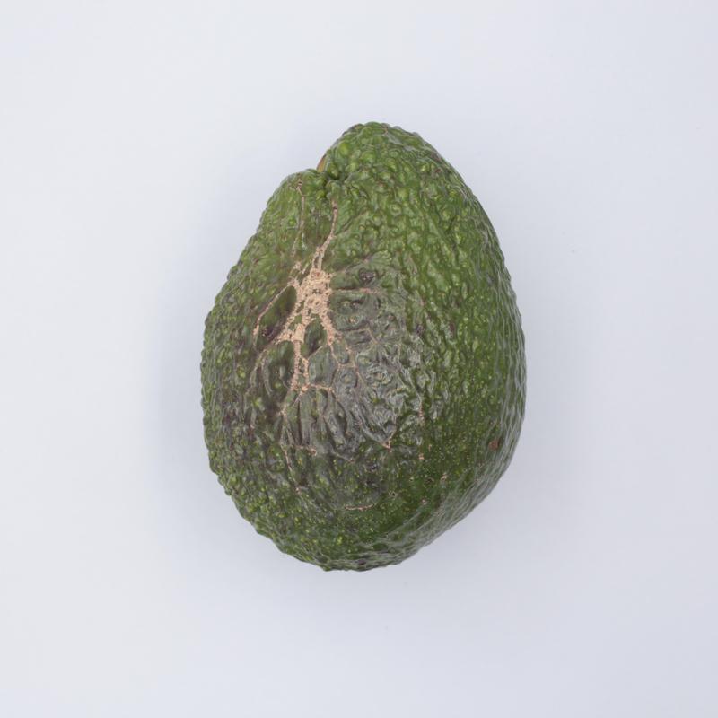 Ripening Avocado Model Object Detection Dataset and Pre-Trained Model by shush