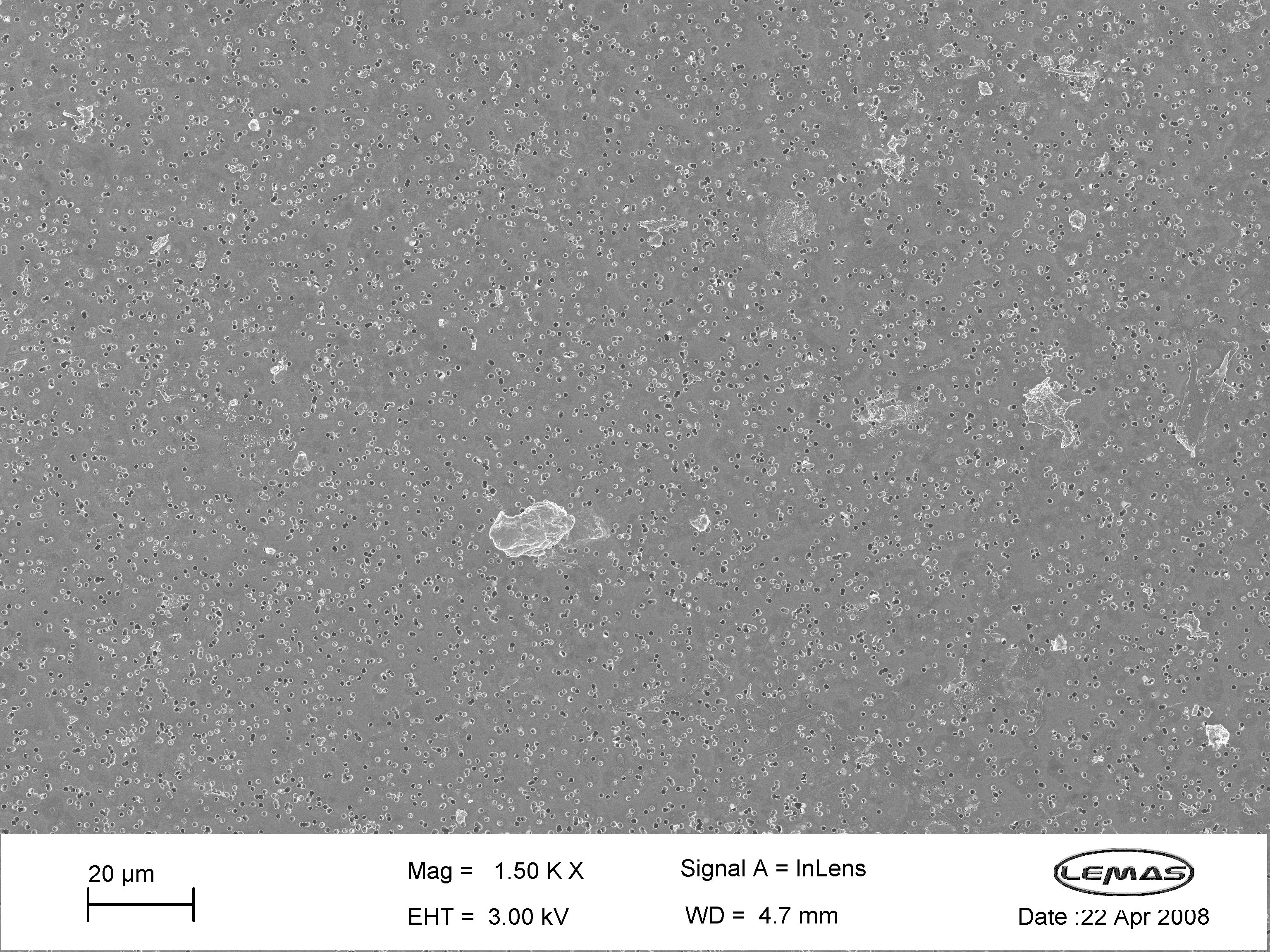 Particle Object Detection Dataset by James Li
