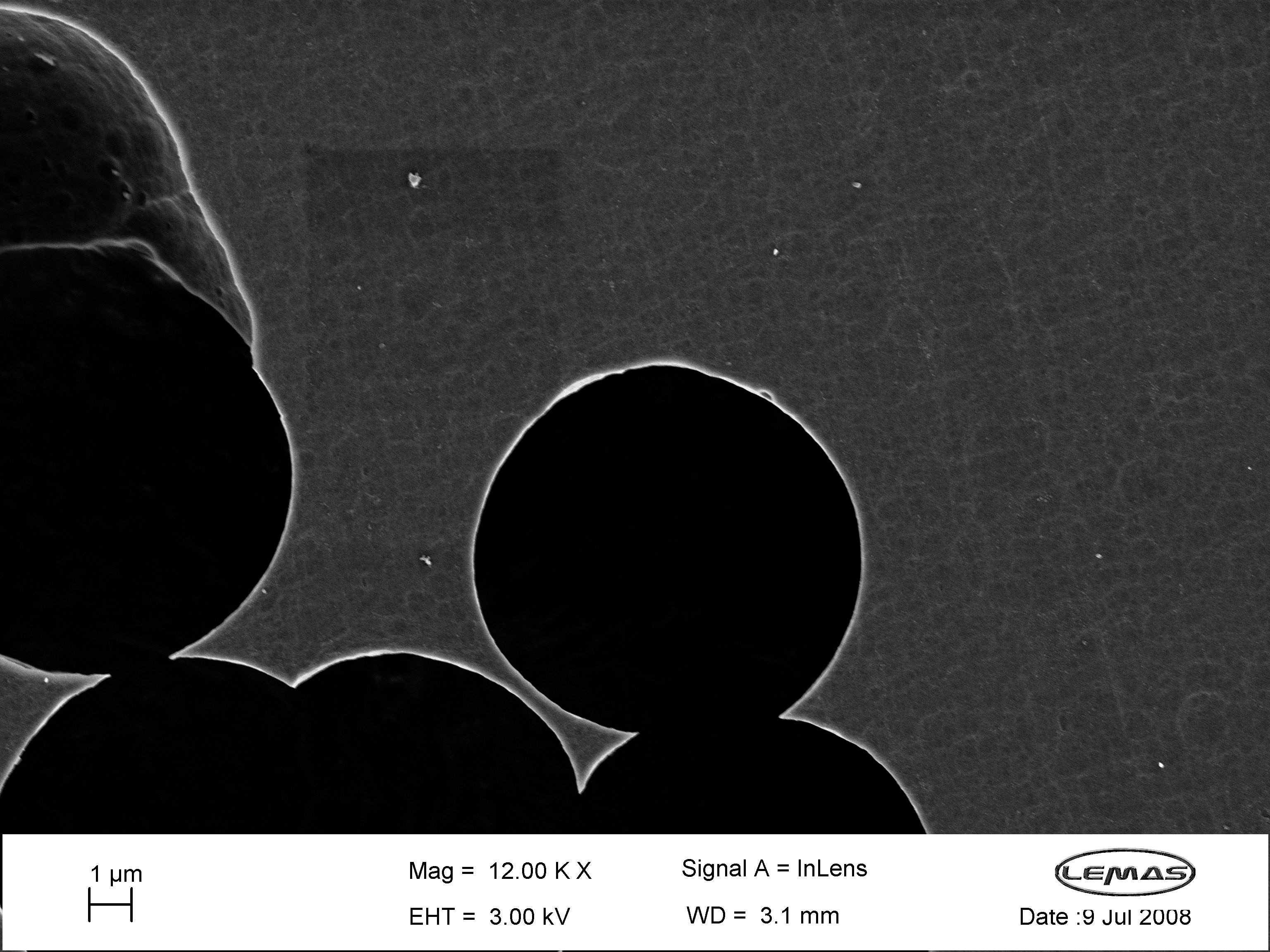 Gray_Two_Classes_After_GAN Object Detection Dataset by James Li