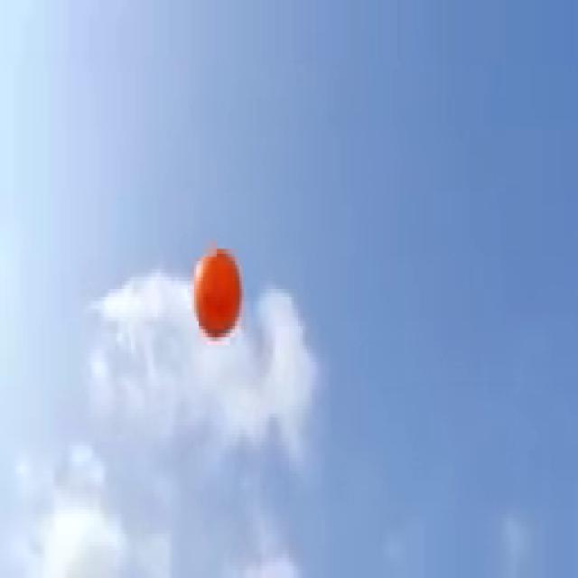 balloons_projects Object Detection Dataset by MysticRune