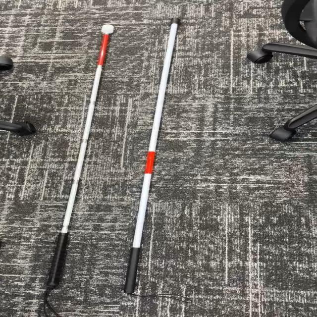 visually_impaired Object Detection Dataset (v2, 2023-06-07 7:32pm) by school