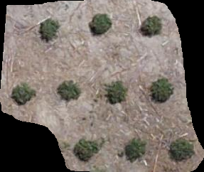 Brotosv06T3 Object Detection Dataset by PFE