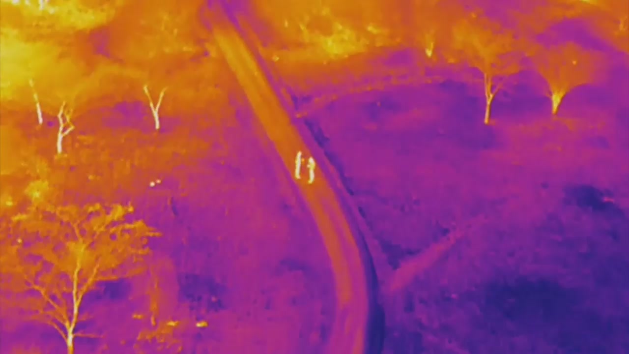 detect2 Object Detection Dataset by new-workspace-apxqy