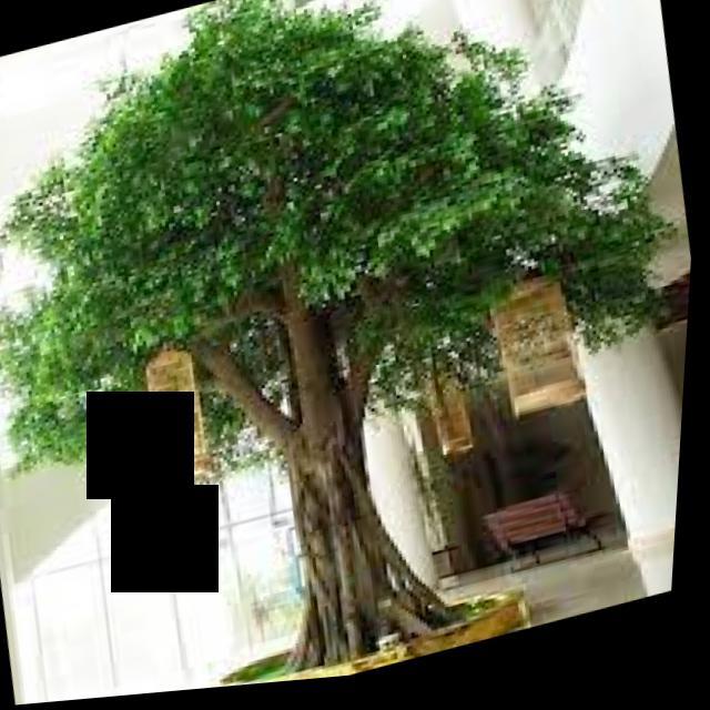 Tree Dataset Object Detection Dataset By Tank Detect 0816