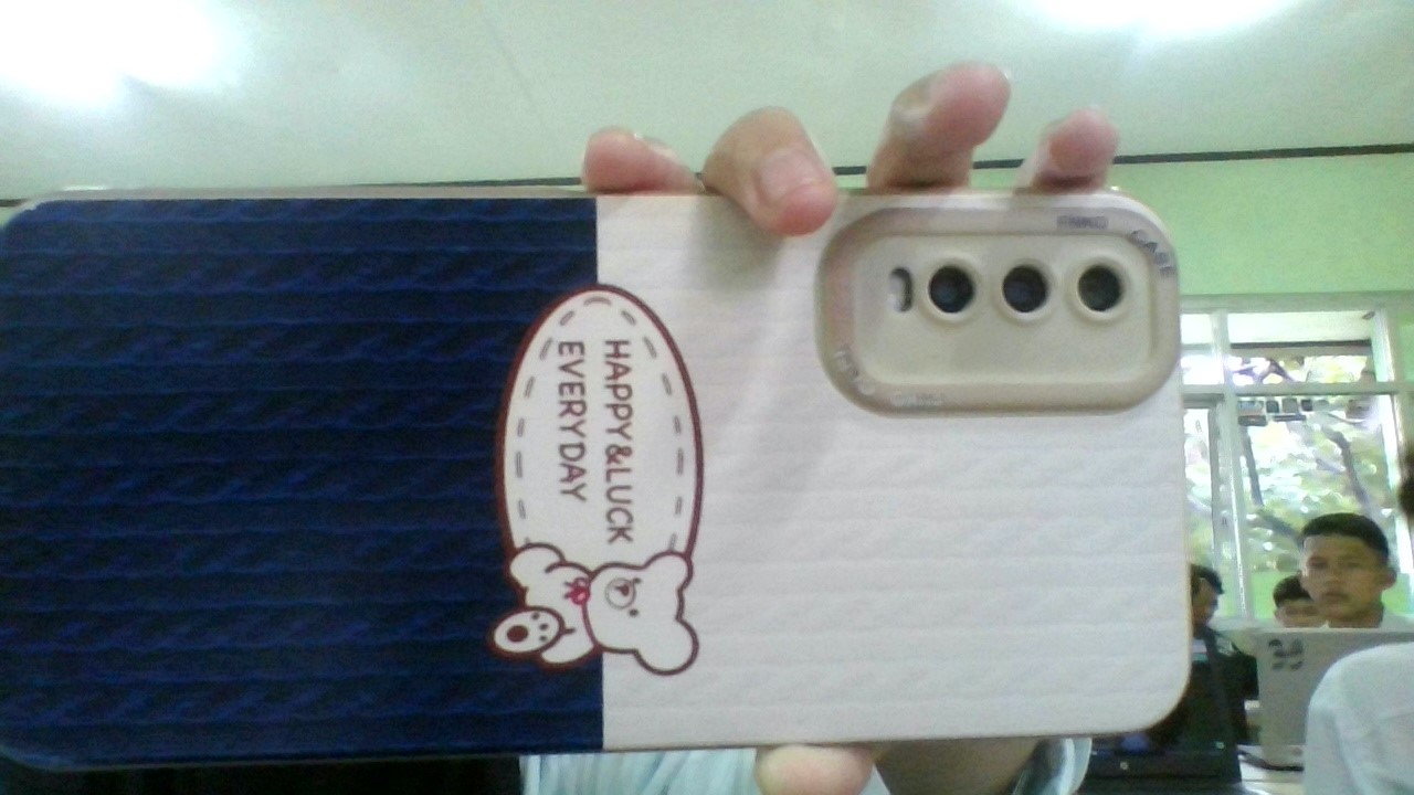 lion Object Detection Model by lylicantik