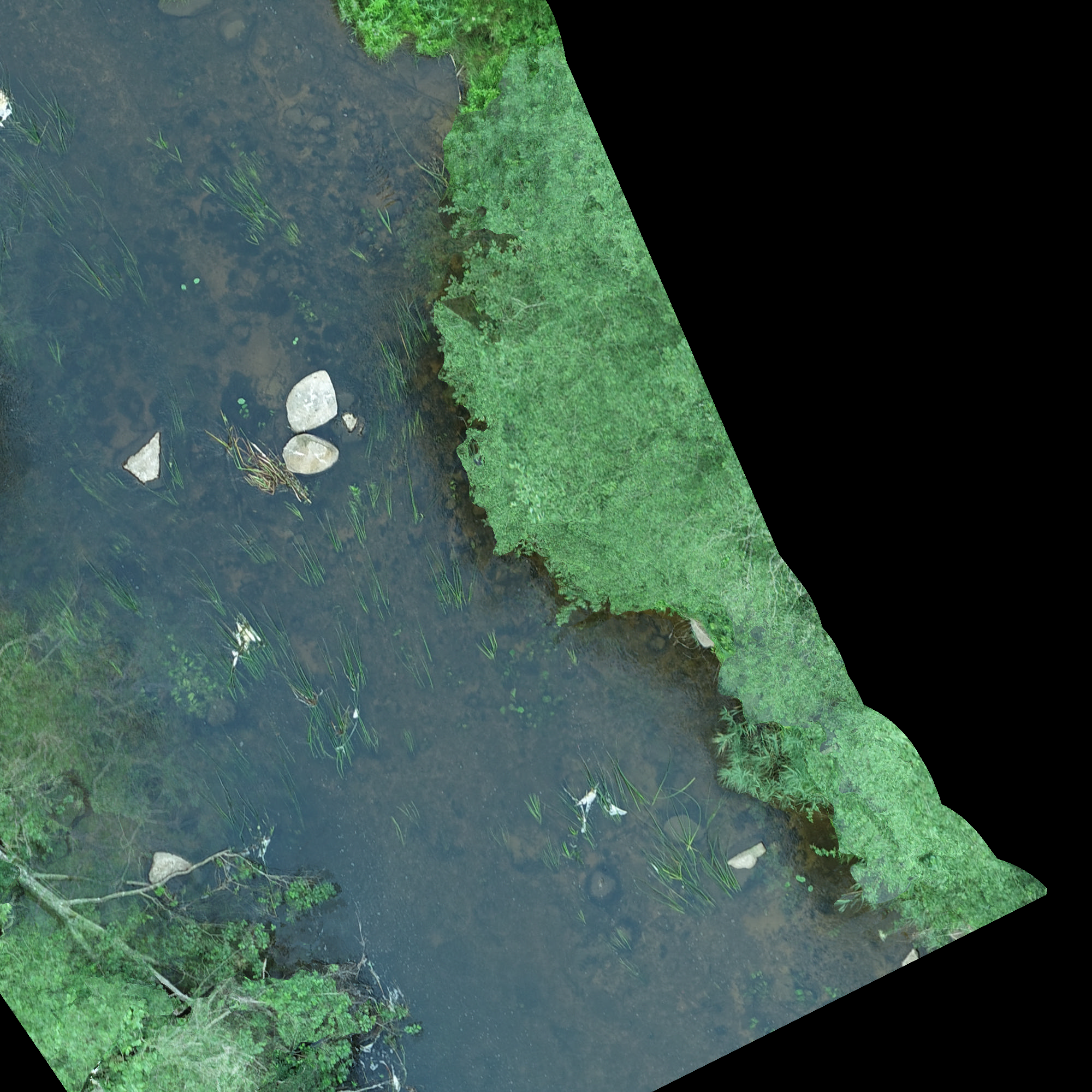 proper-b-train1245-valid3 Object Detection Dataset by armis 920