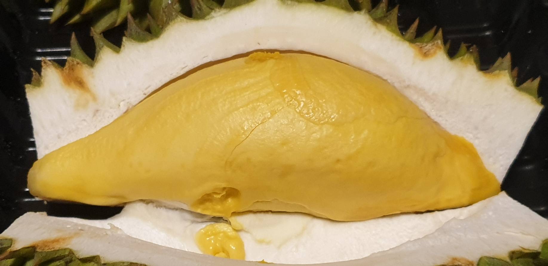 durian Object Detection Model by dogcat