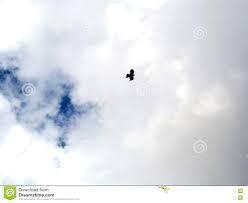 Drone Vs Bird Classification Dataset by AI Playground