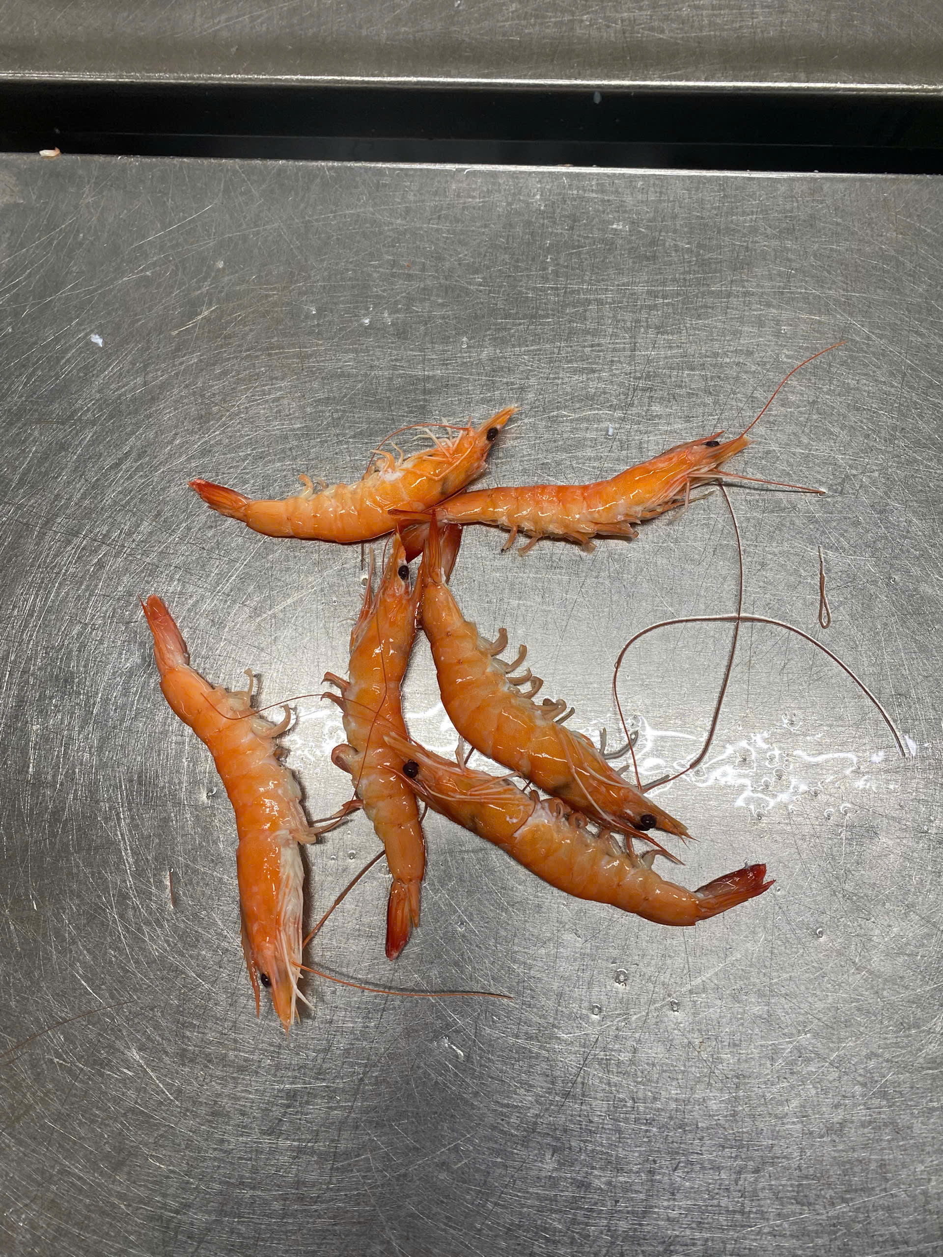 cut head Keypoint Detection Dataset and Pre-Trained Model by 3pick