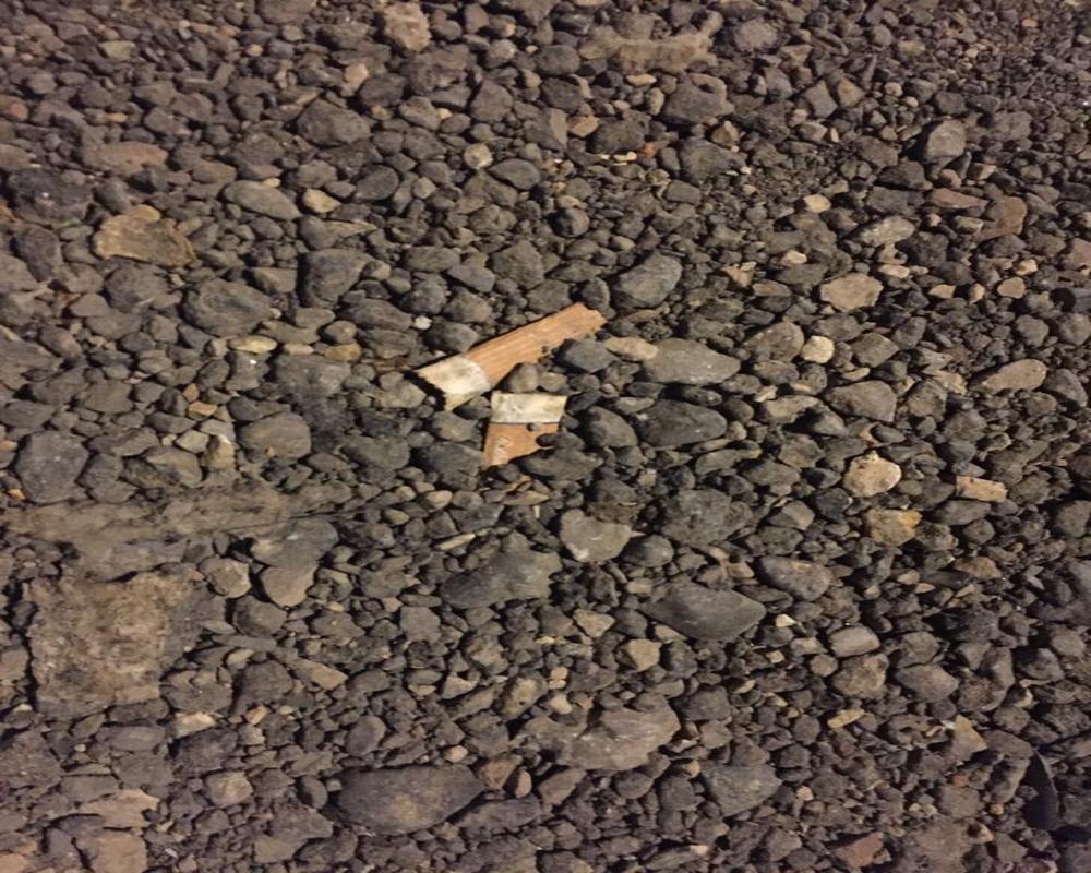 Waste Management Robot Object Detection Model by Waste Management Robot