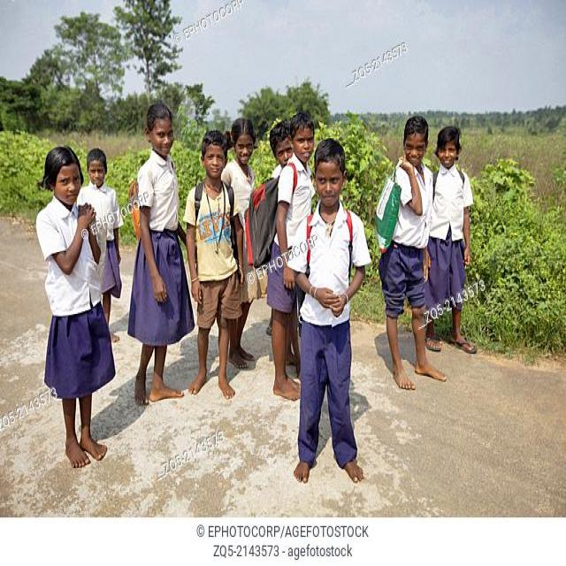 Labels_QV_15000+ Object Detection Dataset by Han