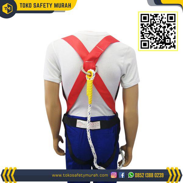 Harness Unsafe Object Detection Dataset V2 2024 10 05 11 42am By Firedetection