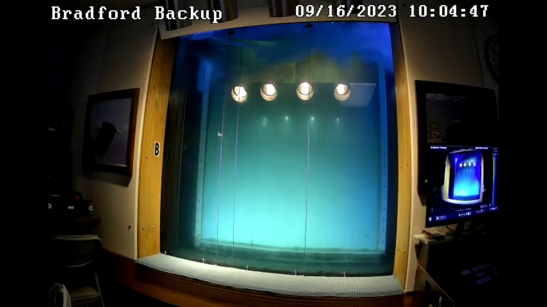 Bradford Fish Window Object Detection Dataset by MST magnet project