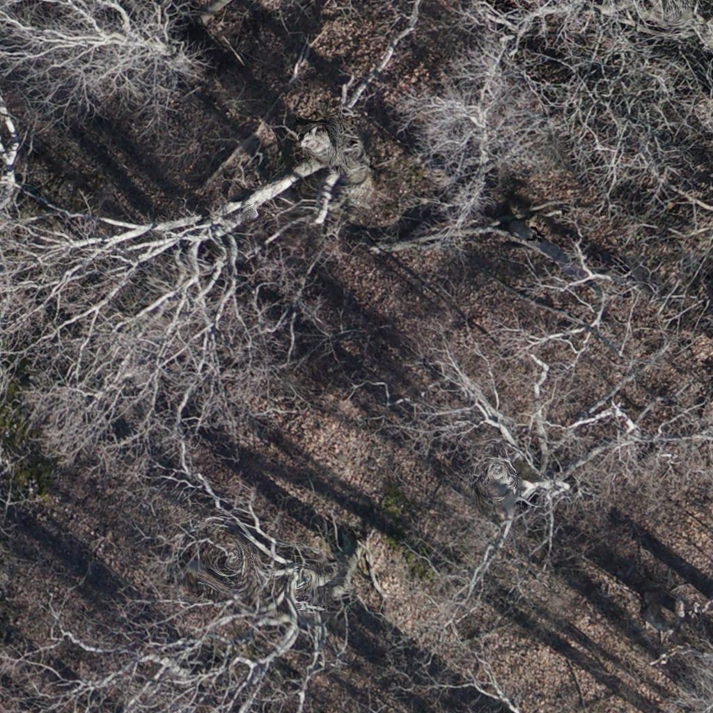 Fallen Trees Object Detection Dataset By Rogue Recon